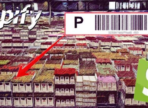 How To Enable Inventory Tracking In Shopify Wise Merchant