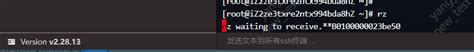 Bug V22810升级到v22813之后lrzsz命令在web Terminal无法使用 · Issue 10405 · Jumpserverjumpserver · Github