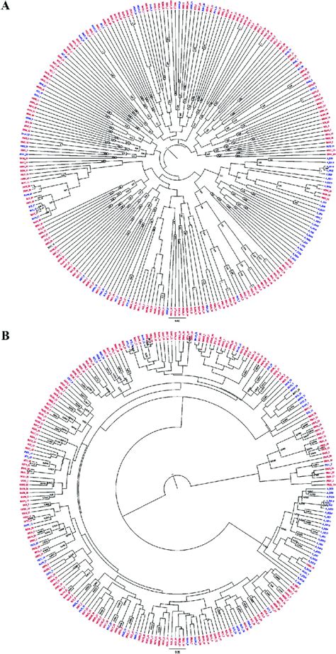 Bayesian Trees Topologies Indicating Relationships Among Individuals Download Scientific