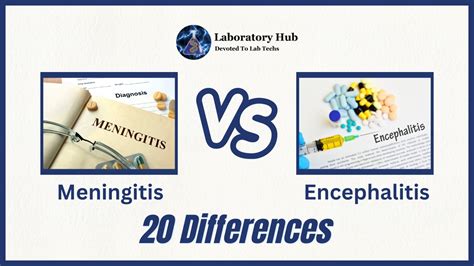Meningitis Vs Encephalitis 20 Differences Laboratory Hub