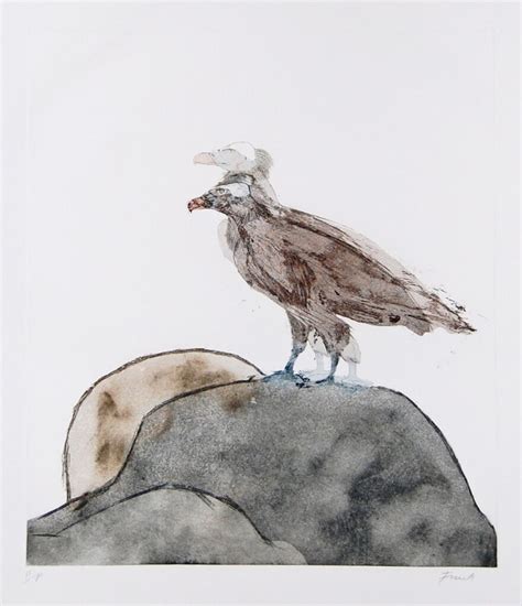 Lammergeier Gerrish Fine Art