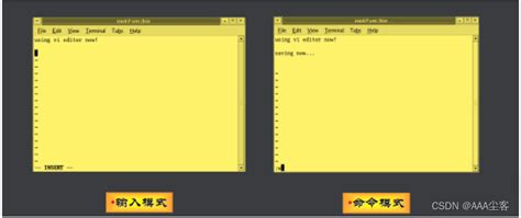 【3vi编辑器使用（上）】