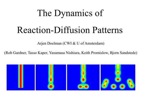 ppt the dynamics of reaction diffusion patterns powerpoint