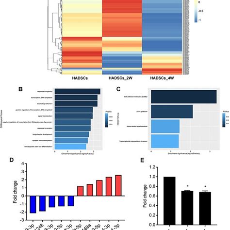 High Throughput Sequencing For Mirnas Expressions After Culturing Download Scientific Diagram