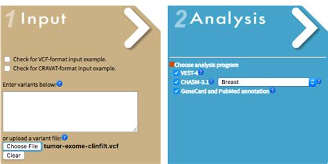 Somatic Variant Interpretation Griffith Lab