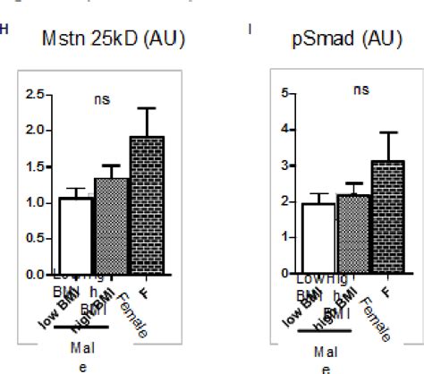 Figure 1 From Myostatin Signaling Is Up Regulated In Female Patients