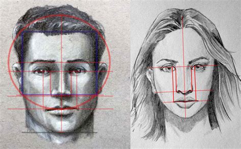 Basic Portrait Drawing At Explore Collection Of