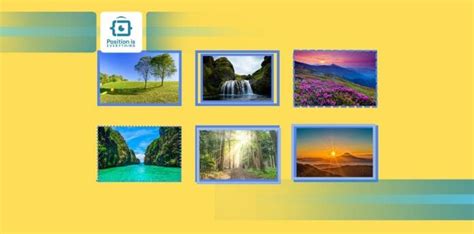 Css Border Not Showing Why It Happens And How You Can Solve It Position Is Everything