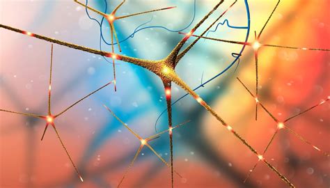 What Is The “forward Forward” Algorithm Geoffrey Hintons New Ai