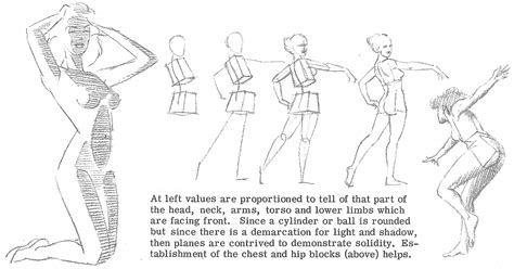 how to draw torso female when drawing either the bean or the bullet