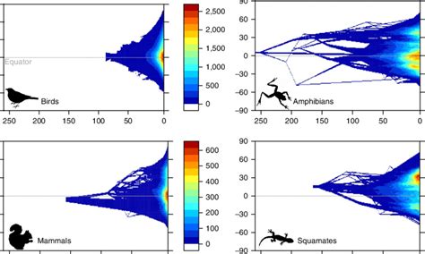 Construction Of The Latitudinal Diversity Gradient Over Time Between Download Scientific