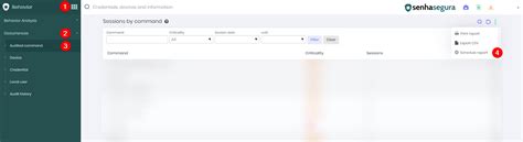 How To Create Sessions By Audited Command Schedule Report Pam Core