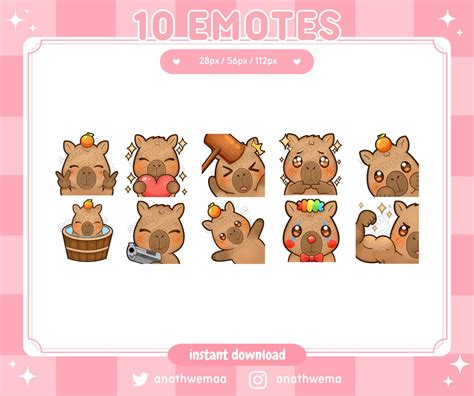 Capybara Twitch Emotes Bundle 10x Discord Emotes Cute Kawaii Mega Pack Gun Mandarin Buff