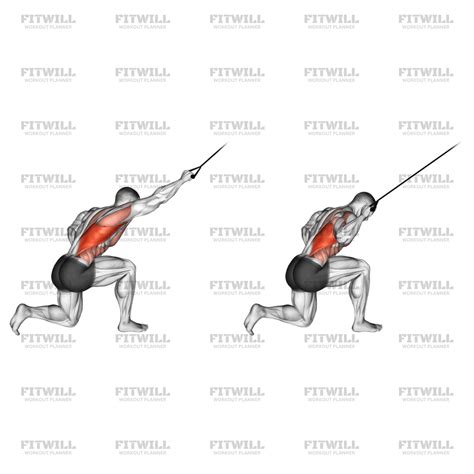 Band Kneeling One Arm Pulldown Exercise Guide Video Techniques Benefits How To Muscles