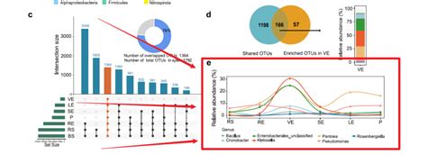 跟着nature Communications学作图：r语言ggplot2平滑曲线折线图 腾讯云开发者社区 腾讯云