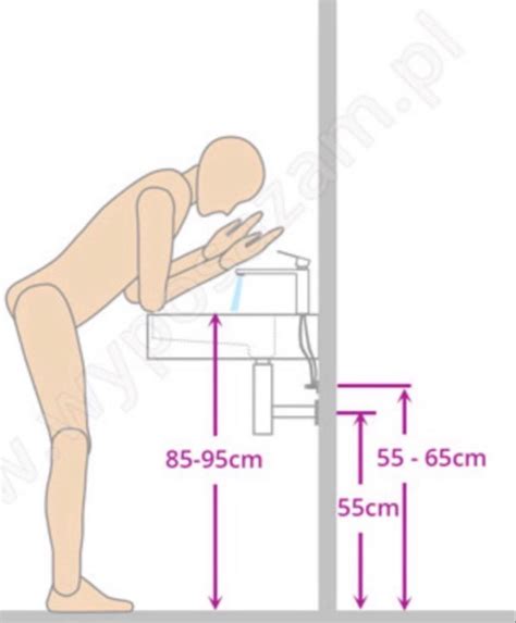 Top 40 Useful Standard Dimensions Artofit