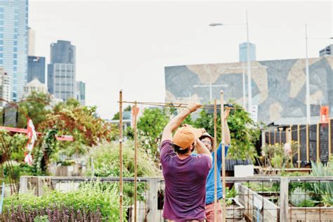 DIY Tomato Trellis Mother Earth News