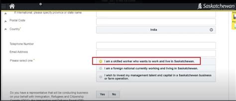 How To Create Sinp Eoi Profile A Step By Step Updated Guide