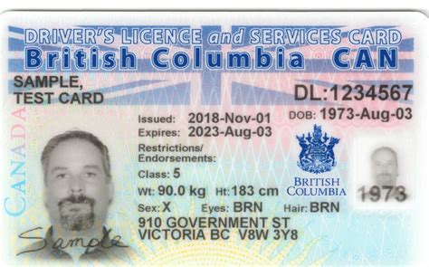 Driver S License Gender X At David Delarosa Blog