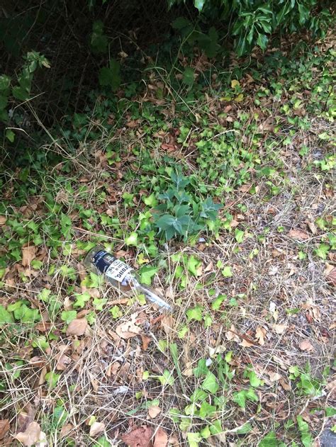 Yorai Detect Waste Datasets At Hugging Face