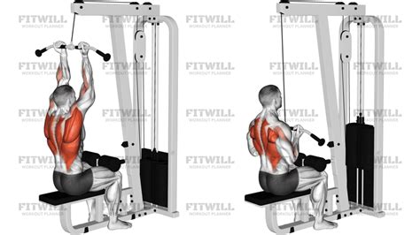 Remada Fechada Na Máquina Smith Guia De Exercício Técnicas Benefícios Como Fazer Músculos