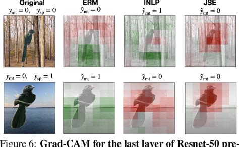 Figure 1 From Removing Spurious Concepts From Neural Network Representations Via Joint Subspace