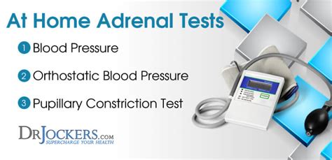 How To Test Your Adrenal Function