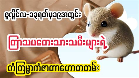 ၂၀၂၅ခုနှစ် ဇူလိုင်လ ၁၃ ရက်မှ ၁၉ ရက် အတွင်း ကြာသပတေး သားသမီးများရဲ့ ကံကြမ္မာ ကံဇာတာ ဟောစာတမ်း