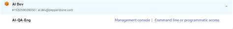 amazon web services how to automate get aws environment variables