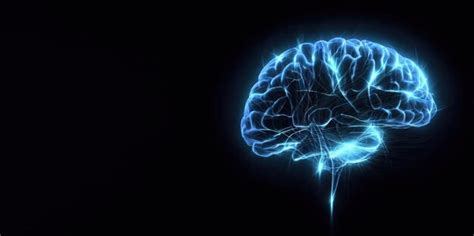 Premium Ai Image Exploring The Human Brain Generative Ai