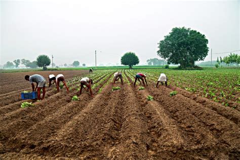 Govt Cheating Farmers Msp Hike Less Than Even Inflation Rate Congress