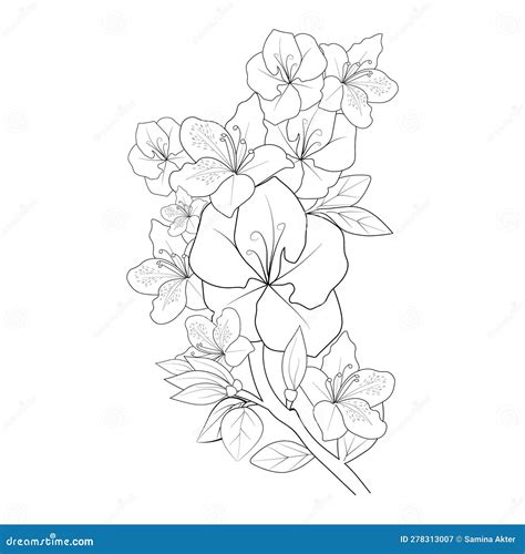 Dibujo A Mano Azalea Flor Vectorial Ilustración De Dibujos En Tinta