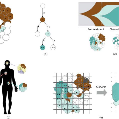 Overview Of Current And Proposed Tools For Visualizing The Clonal
