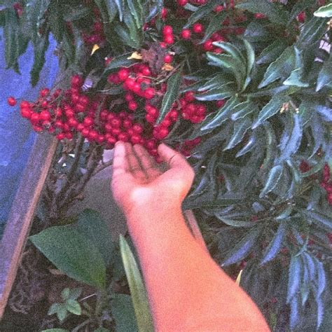 Tahmid Ahmed Youtube