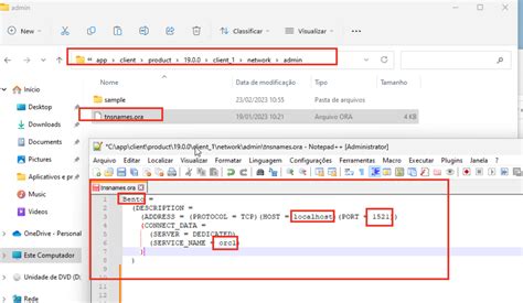 como realizar a instalação do client oracle 19c no windows 11 arm e