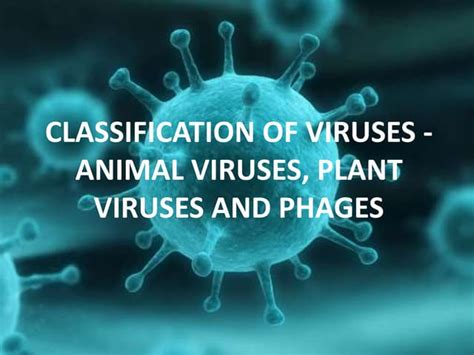 Classification Of Virus Pptx
