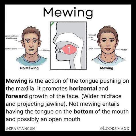 How To Mew Properly What Is Mewing Tongue Posture For A Better Jawline