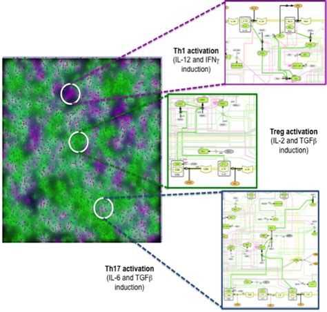 Enisi Ise Nutritional Immunology And Molecular Medicine Laboratory