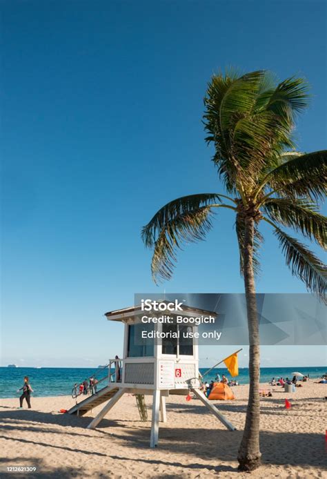 포트 로더데일 비치 인명 구조대 와 팜 트리 봄 플로리다 미국 건물 외관에 대한 스톡 사진 및 기타 이미지 건물 외관 건축적 특징 관광 Istock
