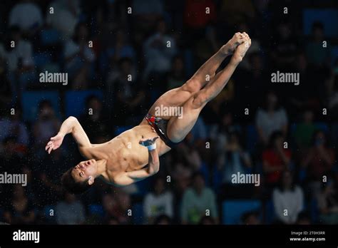 Chinese Divers Yang Hao Bai Yuming Win Championship Runner Up At The