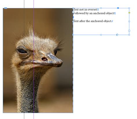 Solved How Can I Import An Entire Word Document Adobe Product Community 13189946