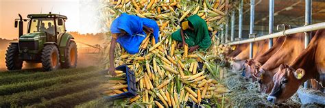 Agro Food Cluster Interim Budget Highlights 2024 25