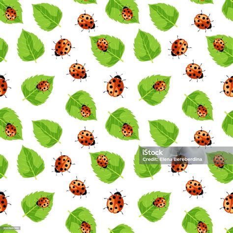 무당벌레와 녹색 잎을 특징으로 하는 다채로운 이음매 없는 패턴으로 배경과 직물을 위한 장난기 넘치는 디자인 검색에 대한 스톡 벡터 아트 및 기타 이미지 Istock