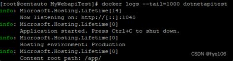 如何在linux上使用docker发布net60的webapi项目linux Docker完整部署net6项目 Csdn博客