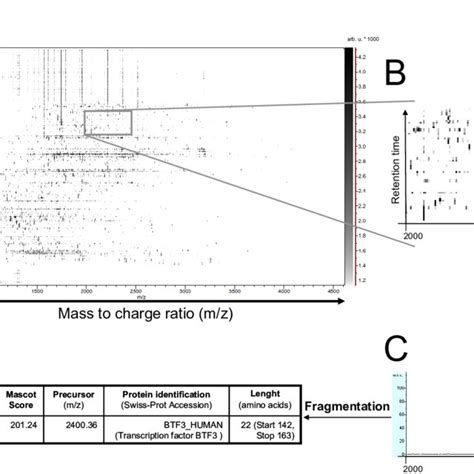 differences between label free quantification a and quantification by