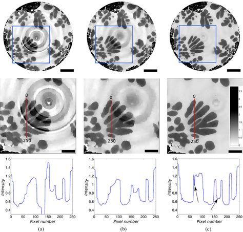 the reconstructions of a slice from the volume using different methods
