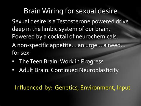 Sex On Campus A Christian Response Ppt Download