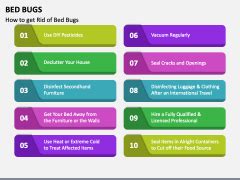 Bed Bugs Powerpoint And Google Slides Template Ppt Slides