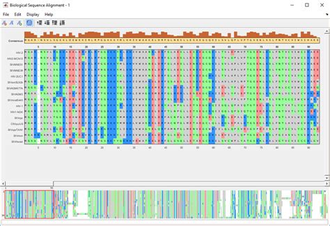 View And Align Multiple Sequences Matlab And Simulink Mathworks Italia