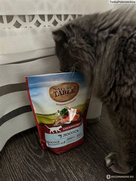 Корм для кошек Nature`s Table Сухой для взрослых кошек Лосось «Натуральный стол отзывы